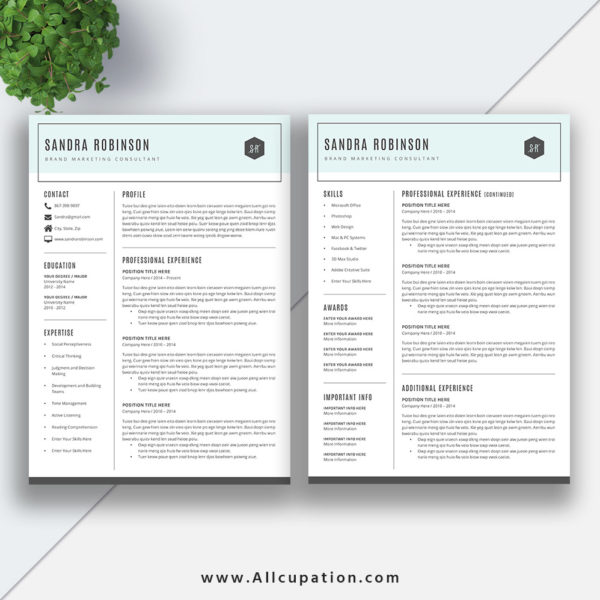 Simple Resume Template for Word, Curriculum Vitae, Professional and ...